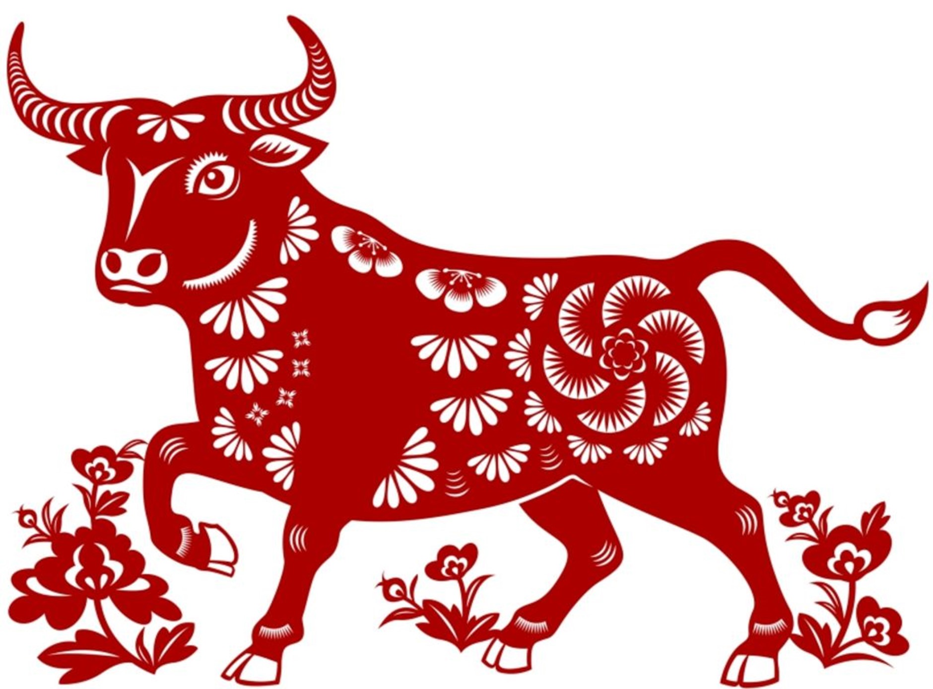 Idioms and Proverbs about Niu (Ox or Cow) – Scottish Confucius ...